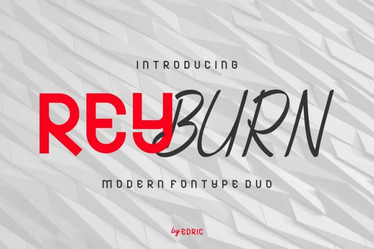 Reyburn Modern Family 4 Fonts by Edric Studio