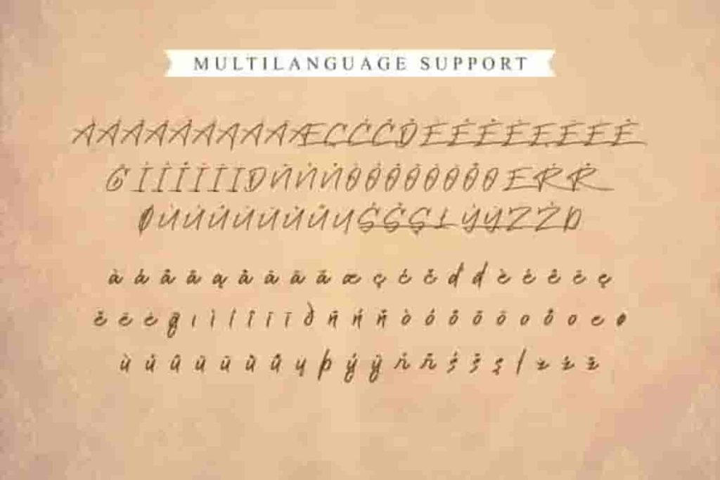 Cattily Calligraphy Script Font by Edric Studio