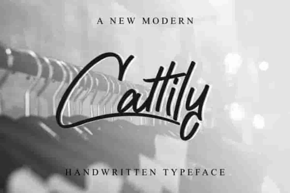 Cattily Calligraphy Script Font by Edric Studio