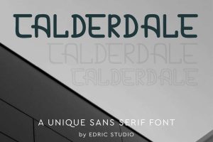 Calderdale Sans Serif Font by EdricStudio