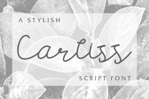 Carllis Script Font by EdricStudio