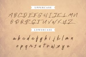 Cattily Calligraphy Font by EdricStudio