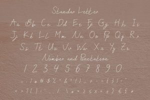 Nikeisha Cursive Font by EdricStudio