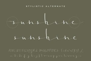 Jonatan Eve Script Font by EdricStudio